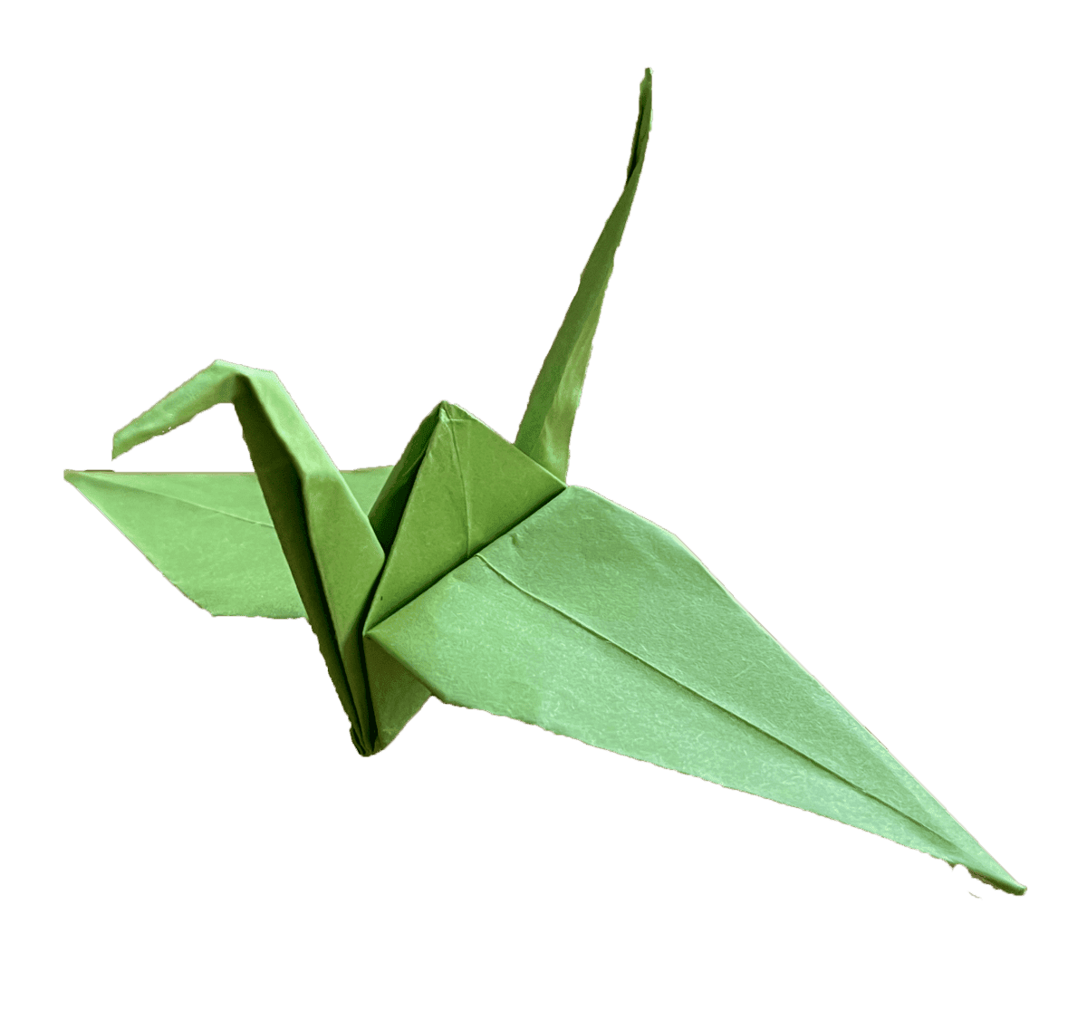 Symbole des Friedens - jugendarbeit.de